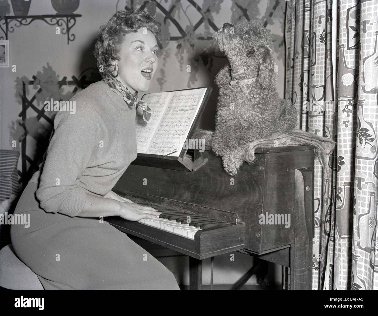 Polly the singing poodle seen here in full voice singing along with her ...