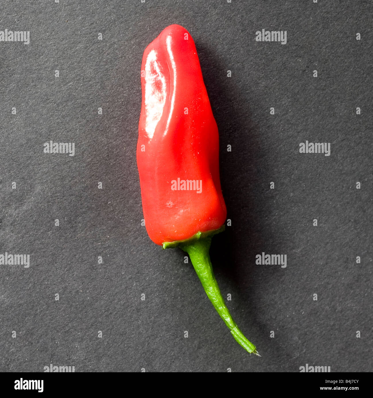 One red chilli pepper Stock Photo - Alamy