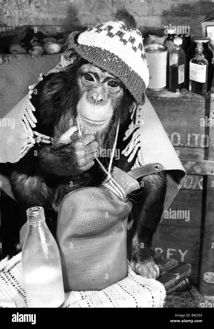 Chessington zoo 1950s Black and White Stock Photos & Images - Alamy