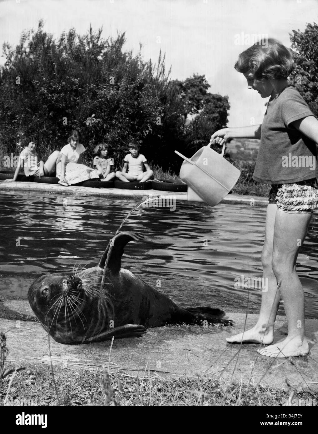 One way flaps hi-res stock photography and images - Alamy