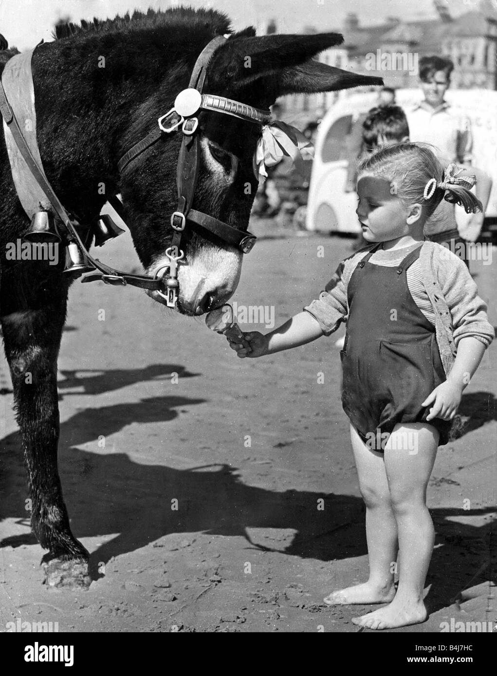 Donkey ice hi-res stock photography and images - Alamy