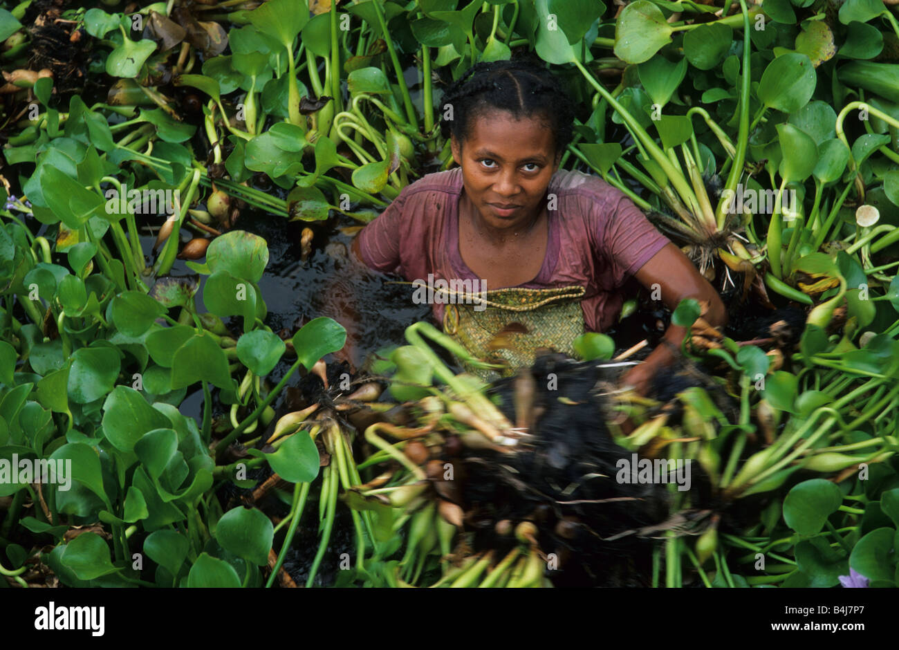 Prawning in a river Stock Photo - Alamy