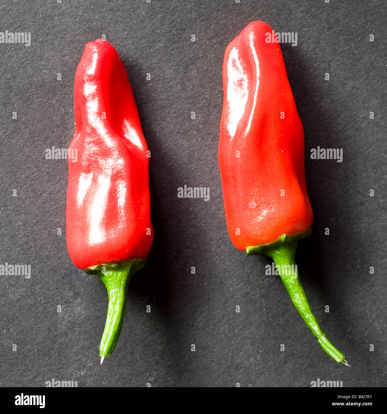 Two red chilli peppers Stock Photo - Alamy