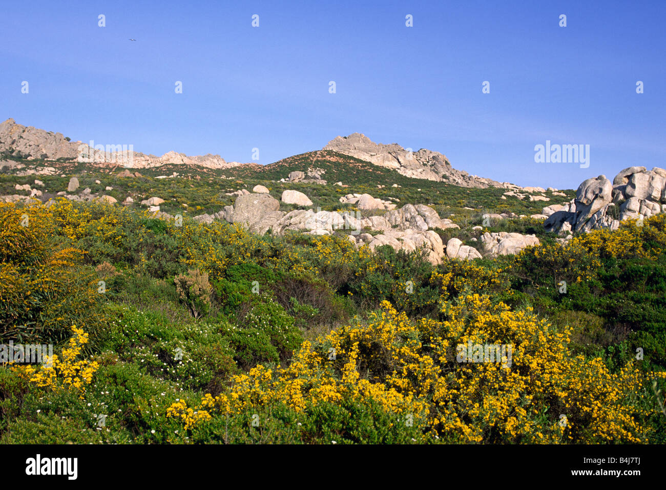 italy, sardinia, la maddalena archipelago national park, caprera island ...