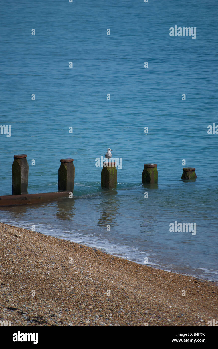 Eastbourne beach groynes hi-res stock photography and images - Alamy