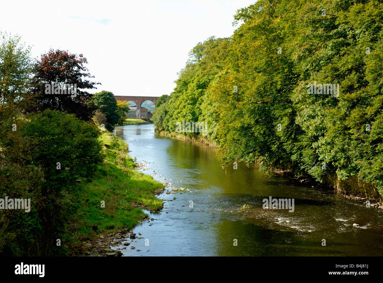 River Calder at Whalley Stock Photo - Alamy