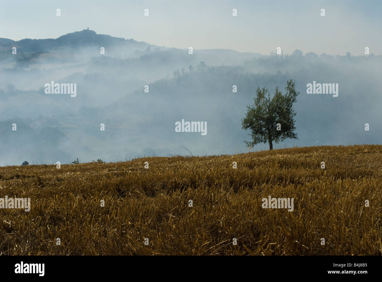 Field smoke hi-res stock photography and images - Alamy