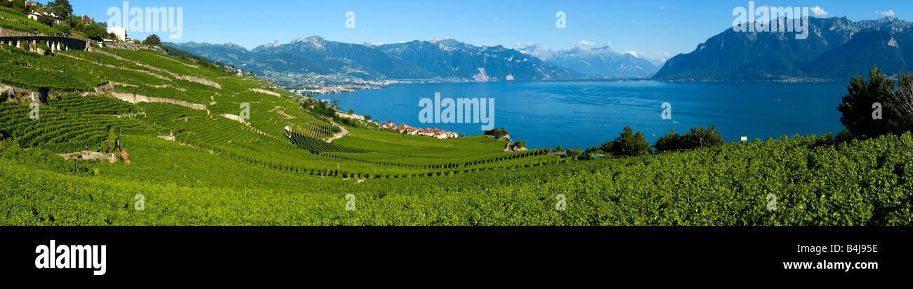 Rivaz hi-res stock photography and images - Alamy