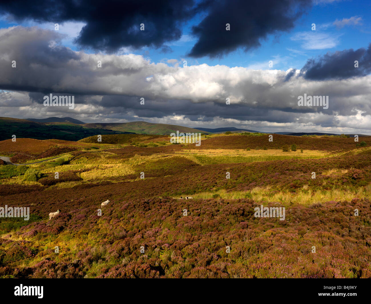 Gortin sperrins hi-res stock photography and images - Alamy
