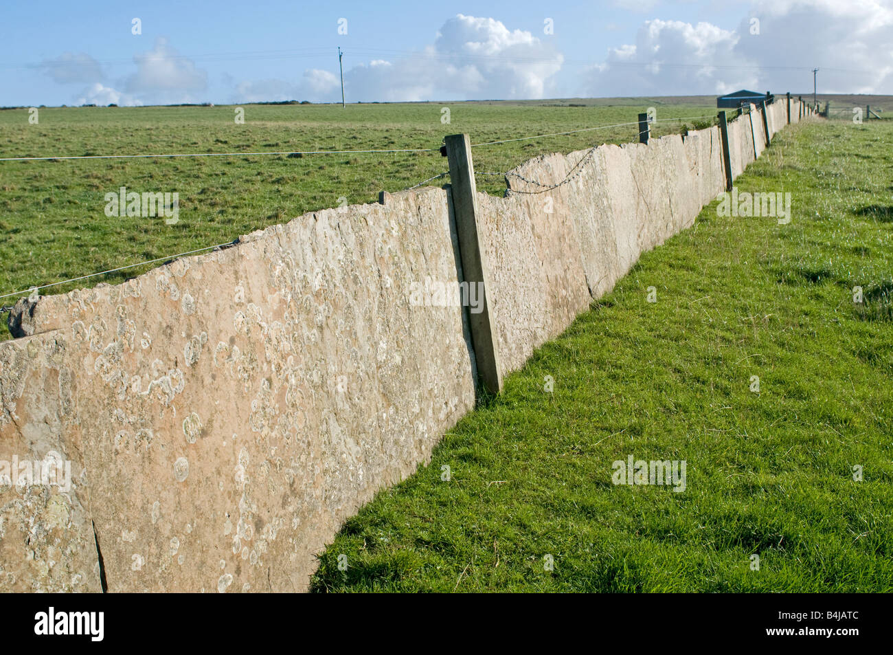 Caithness Flagstone used as a wall for retaining farm stock Northern ...