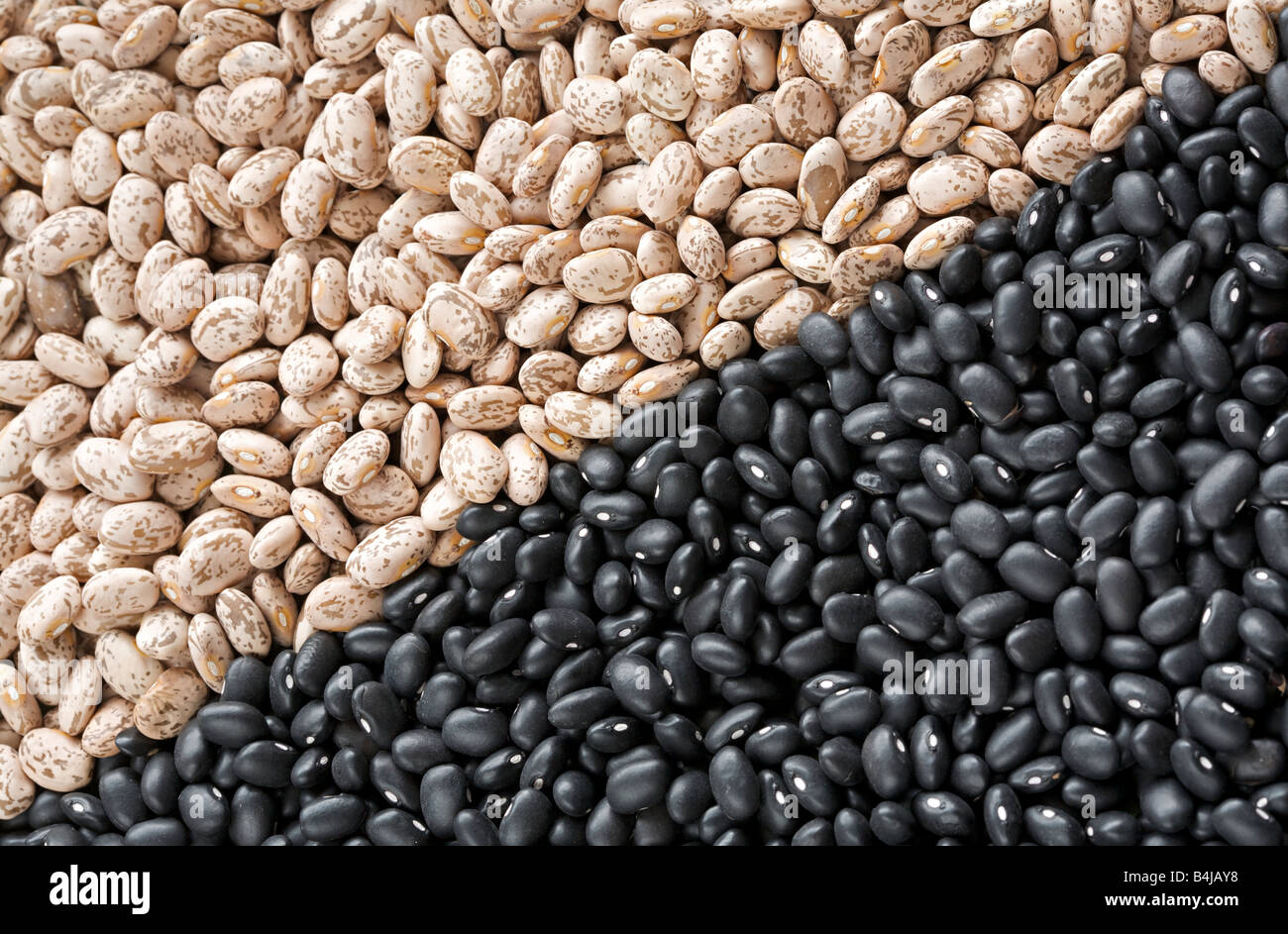 Common beans hi-res stock photography and images - Alamy