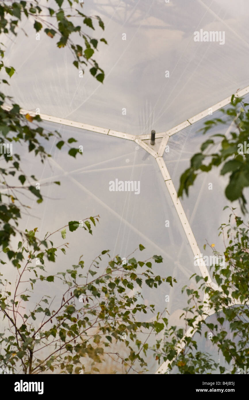 Eden project greenhouse hi-res stock photography and images - Alamy