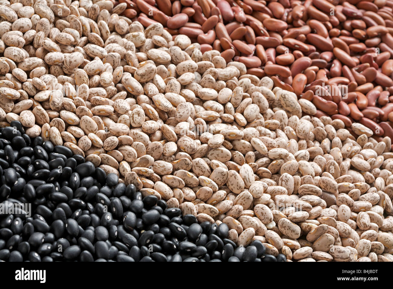 Assorted dried common beans Stock Photo - Alamy