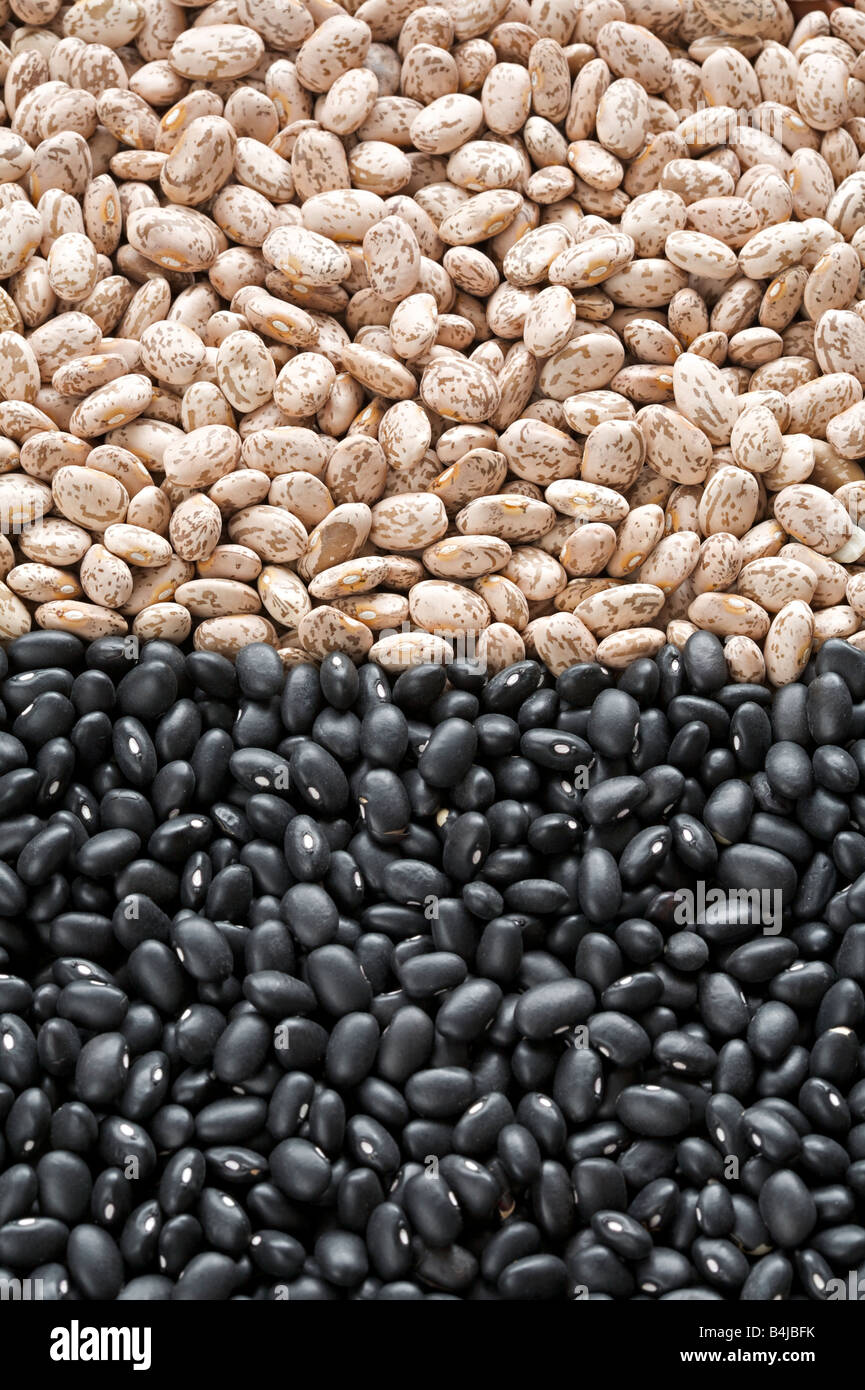 Assorted dried common beans Stock Photo - Alamy