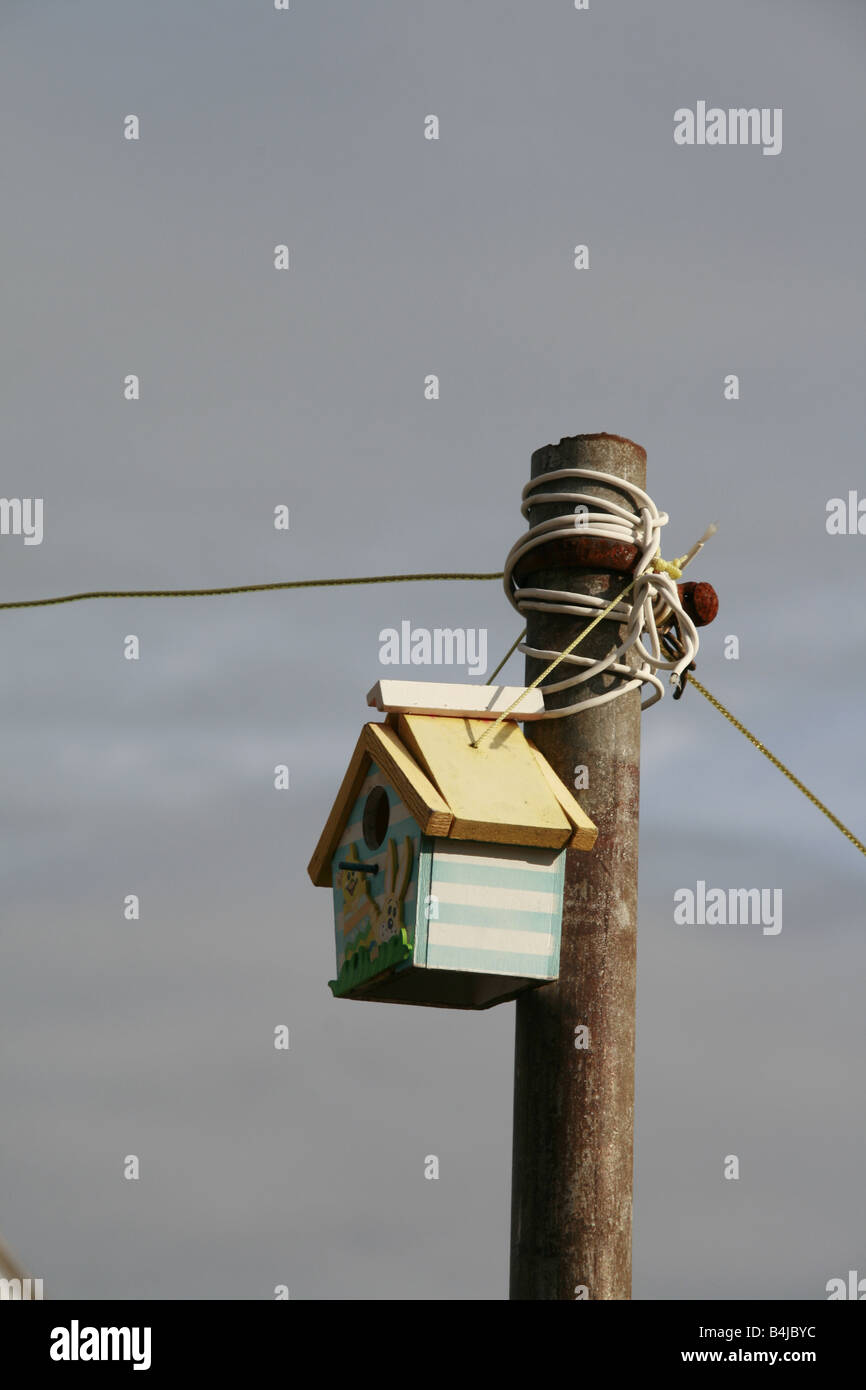 one bird house and washing line in garden Stock Photo - Alamy