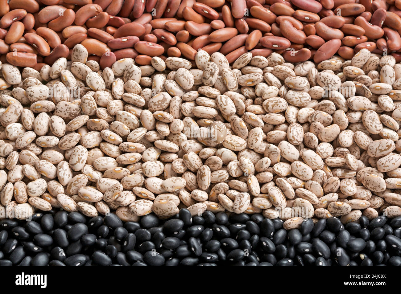 Assorted dried common beans Stock Photo - Alamy