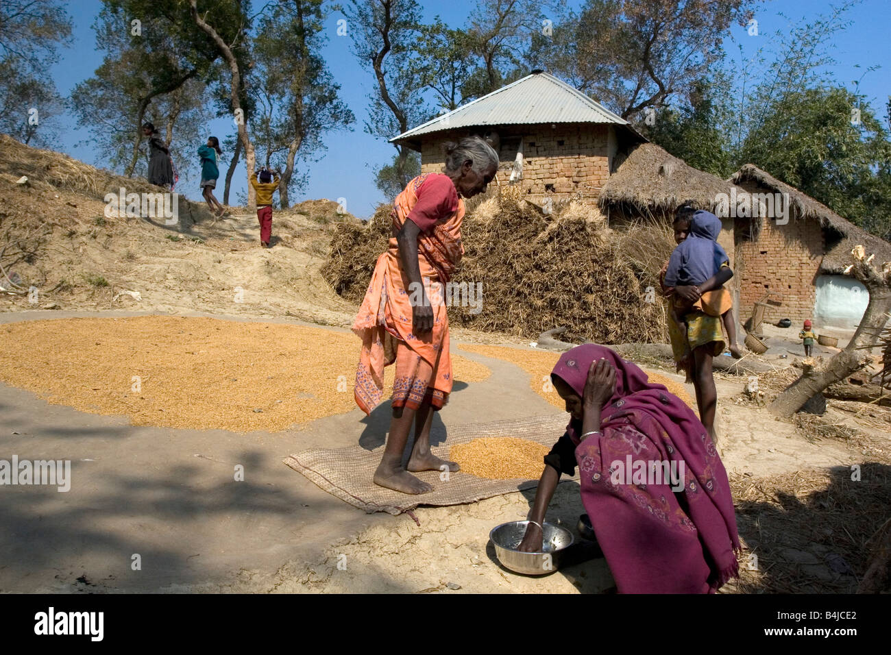 Santhal hi-res stock photography and images - Alamy