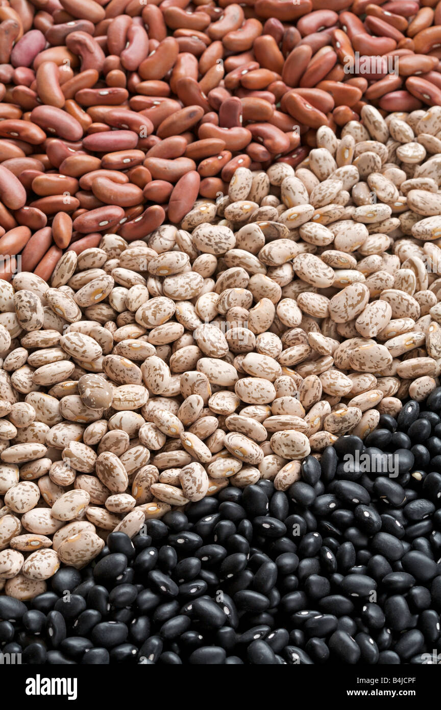Assorted dried common beans Stock Photo - Alamy