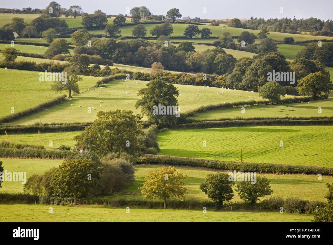 Rolling Farmland And Farm Buildings In Wales Stock Photo - Alamy