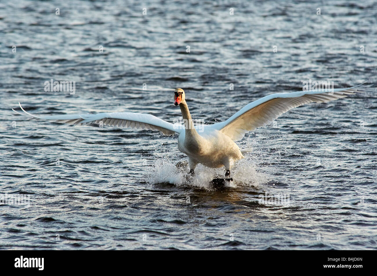 Splashdown hi-res stock photography and images - Alamy