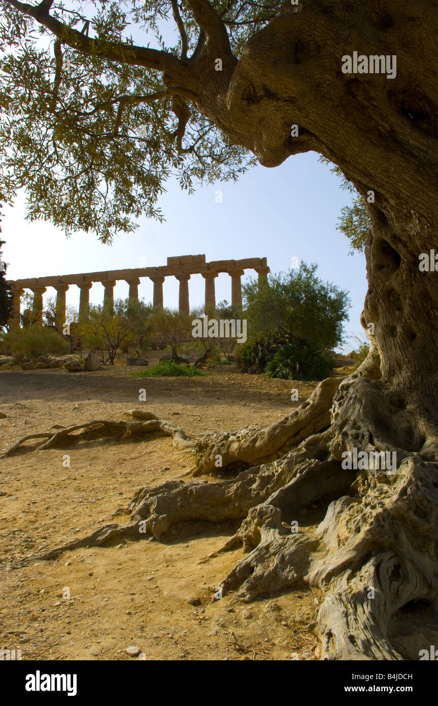 Temples in sicily hi-res stock photography and images - Alamy