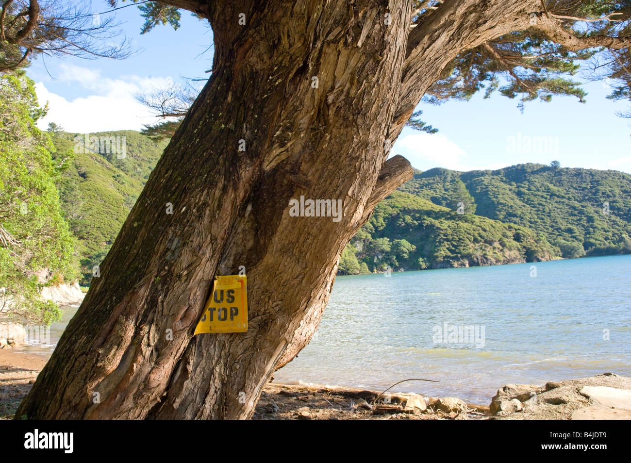 Great Barrier Island bus stop on the beach New Zealand Stock Photo - Alamy