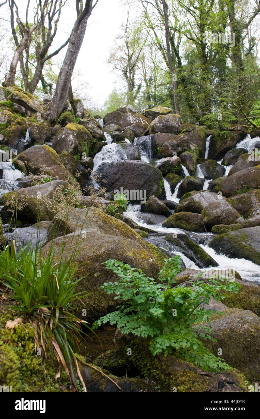 Becky Falls, Dartmoor National Park Stock Photo - Alamy