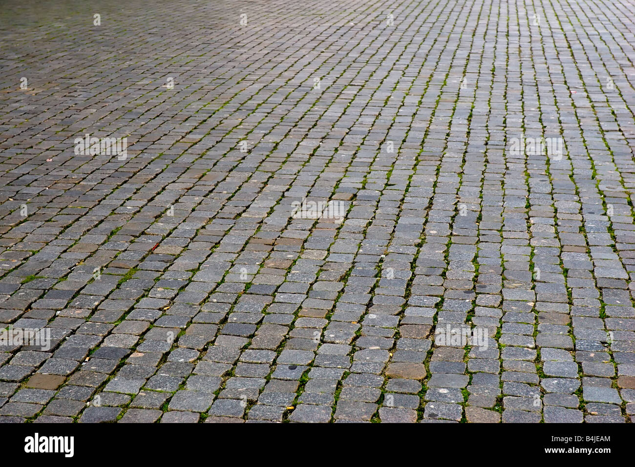 cobbled pavement of wide square Stock Photo - Alamy