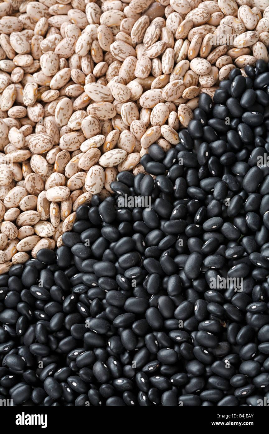 Assorted dried common beans Stock Photo - Alamy