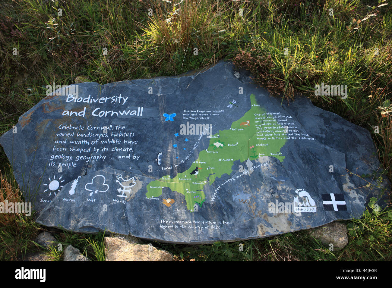 The Eden Project in Cornwall Stock Photo - Alamy