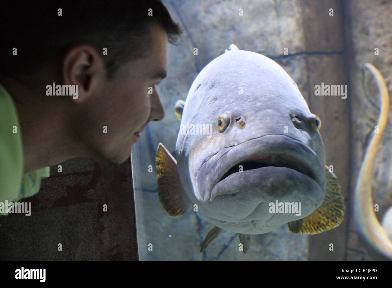 The Lost Chambers, Atlantis Adventure Park. Ambassador Lagoon, 11 ...