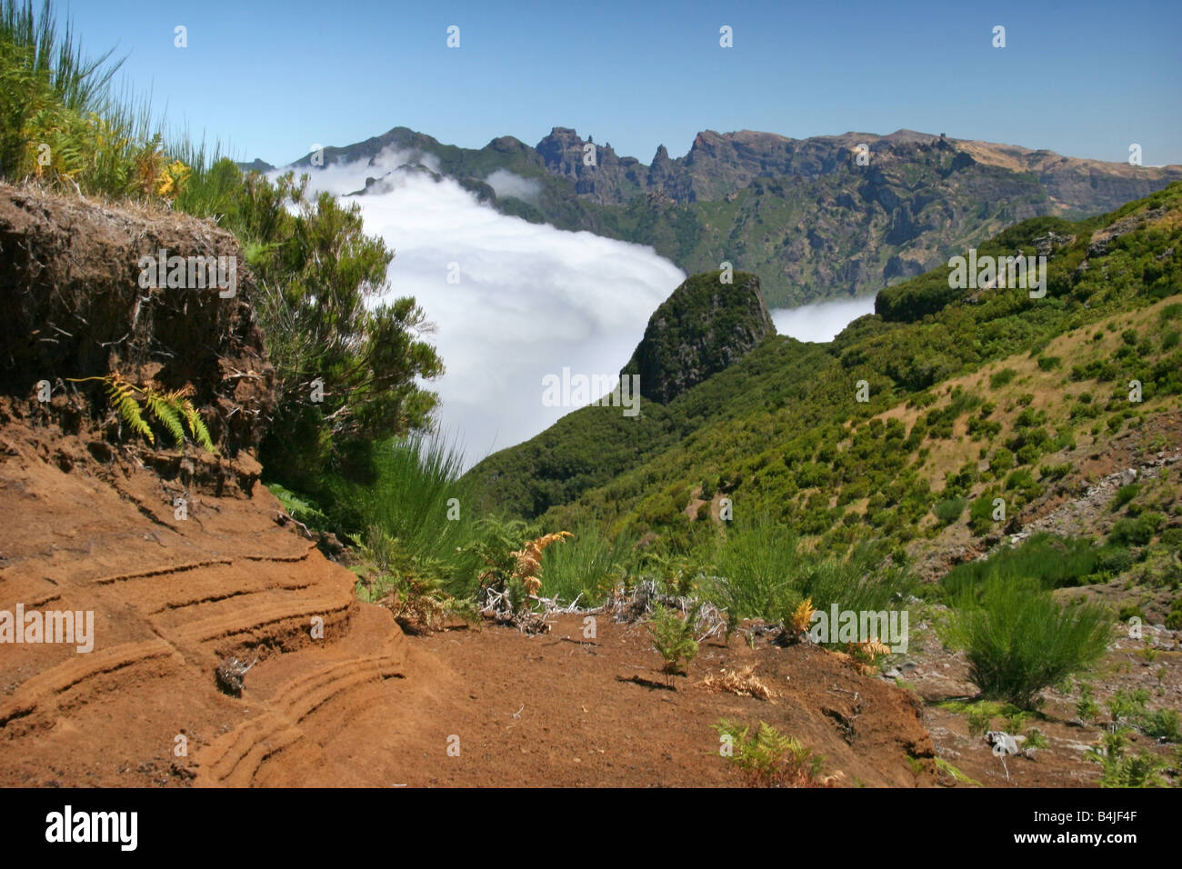 Pinaculo madeira portugal hi-res stock photography and images - Alamy