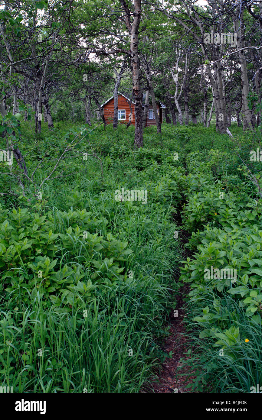 Cabin in forest Stock Photo - Alamy