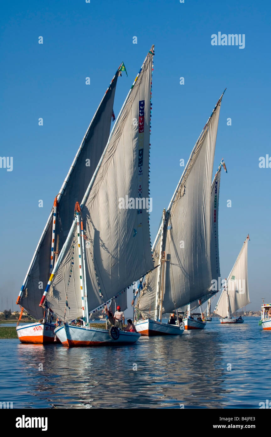 Feluccas egypt hi-res stock photography and images - Alamy