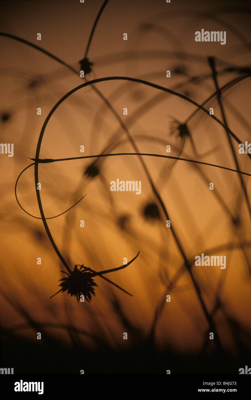 Beit yanai beach hi-res stock photography and images - Alamy
