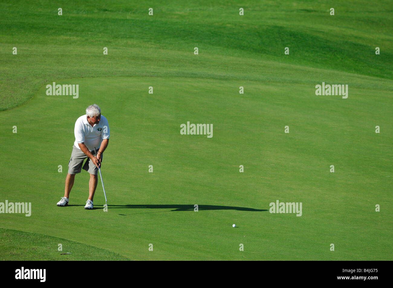 A senior golf player driving a put on the green golf course - France ...