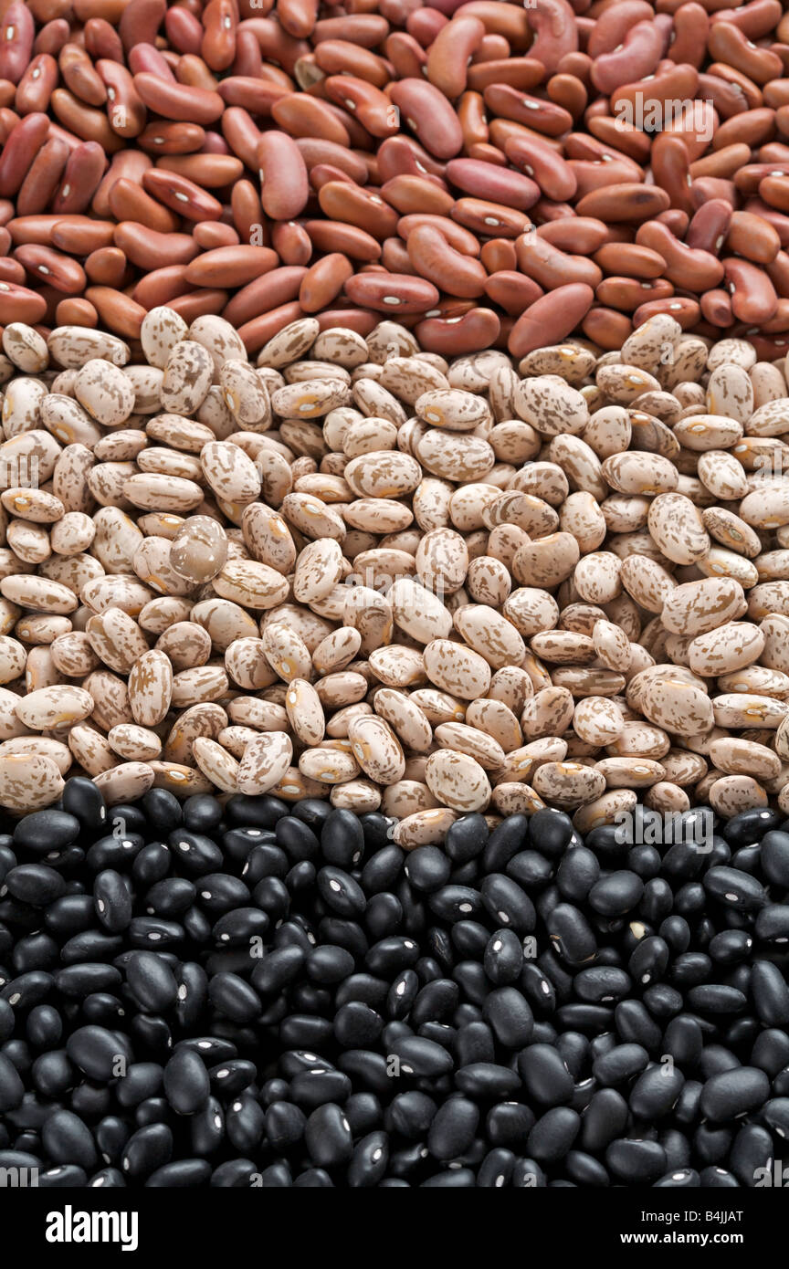 Assorted dried common beans Stock Photo - Alamy