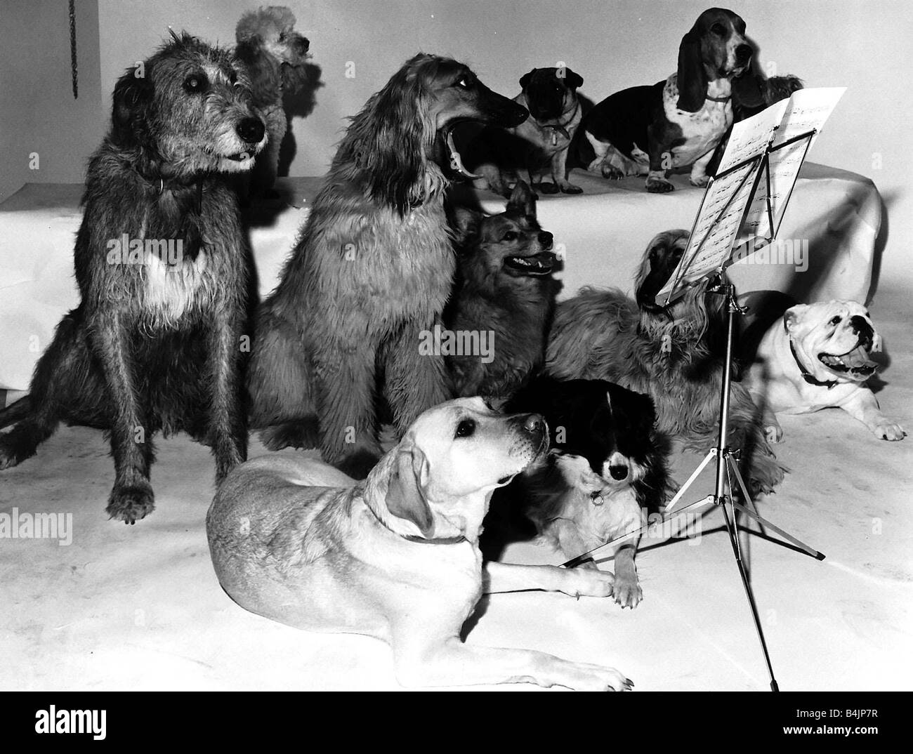 Music stand choir hi-res stock photography and images - Alamy