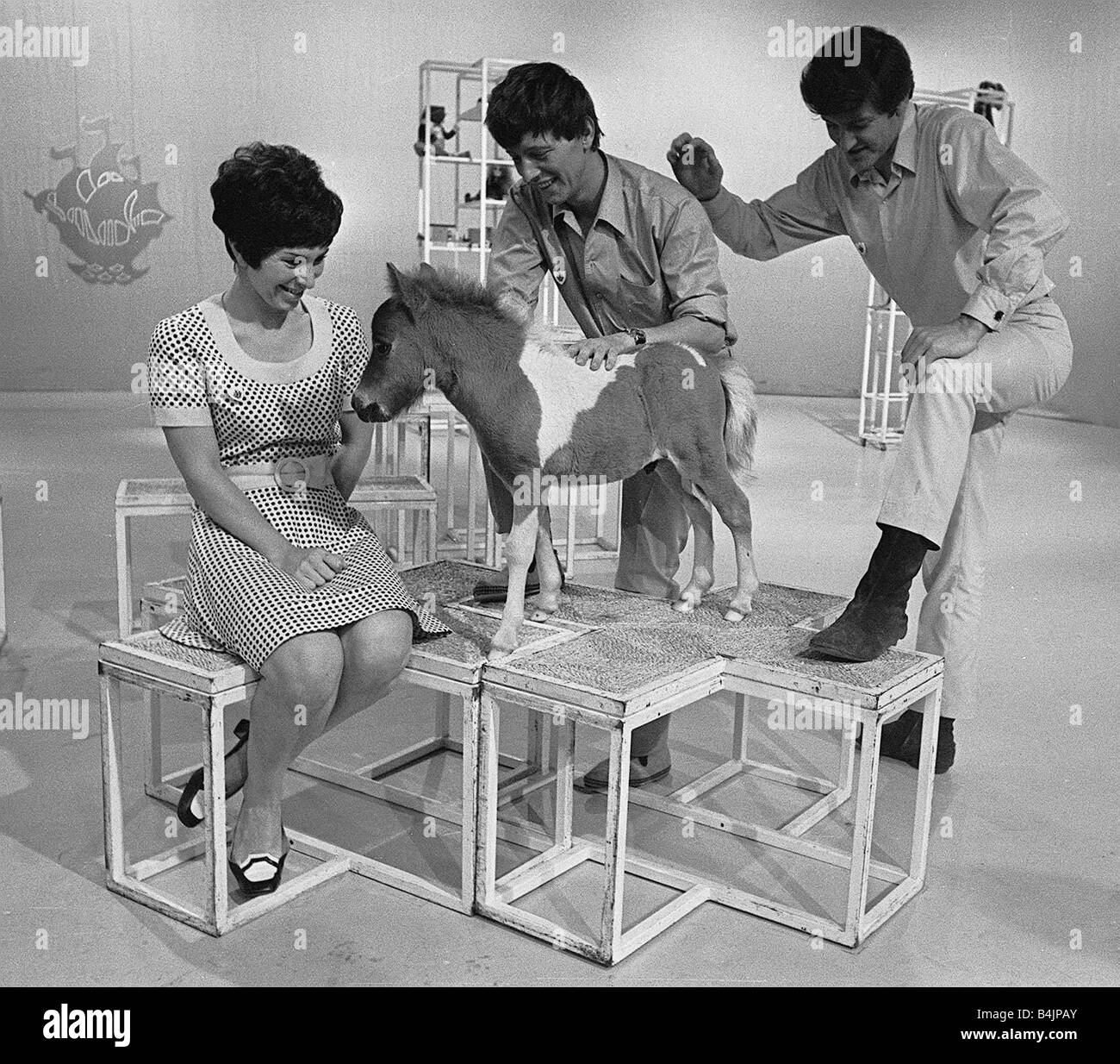 Valerie singleton hi-res stock photography and images - Alamy