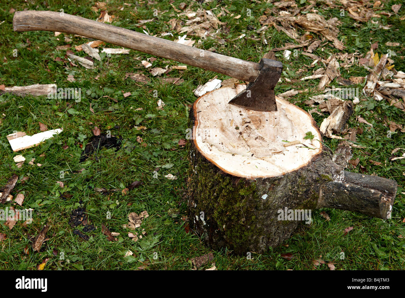 Axe chop hi-res stock photography and images - Alamy