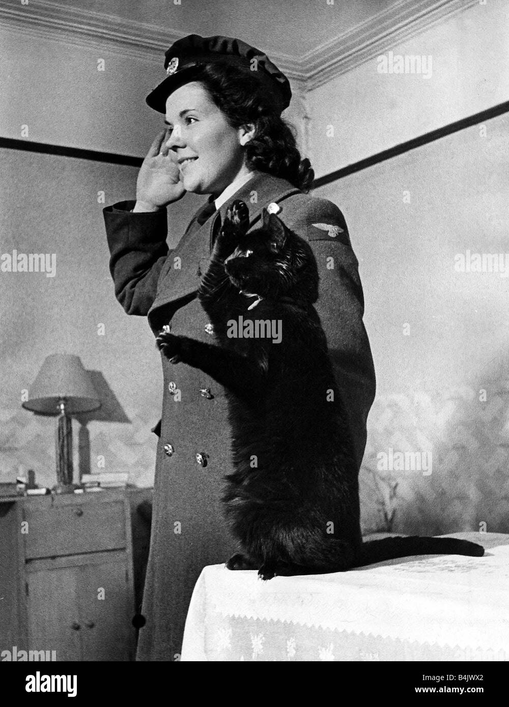 Smoky the cat February 1943 Miss Ann Twynam and the cat she rescued in ...