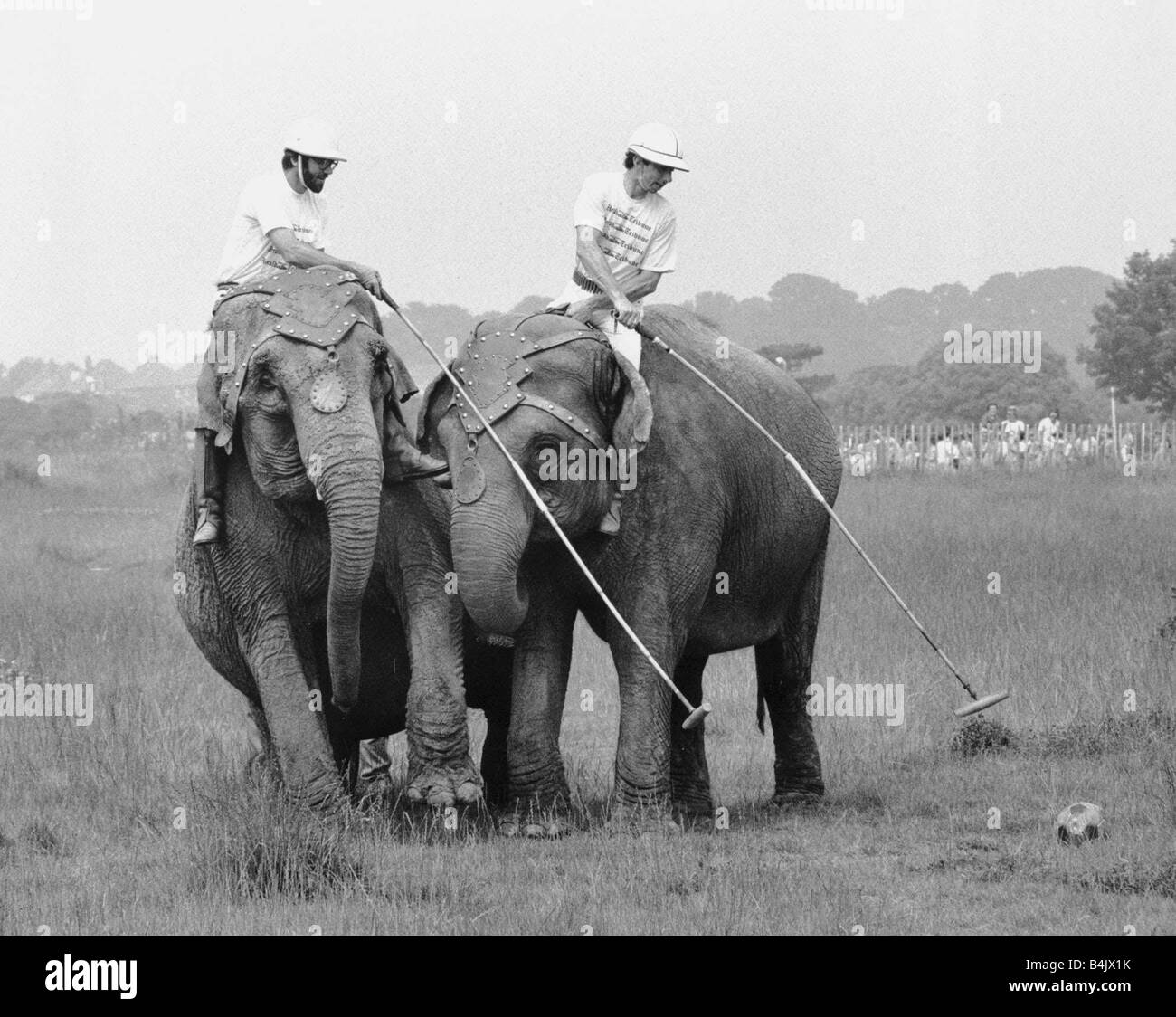 British Elephant Polo Championships July 1987 Practise Session Robert ...
