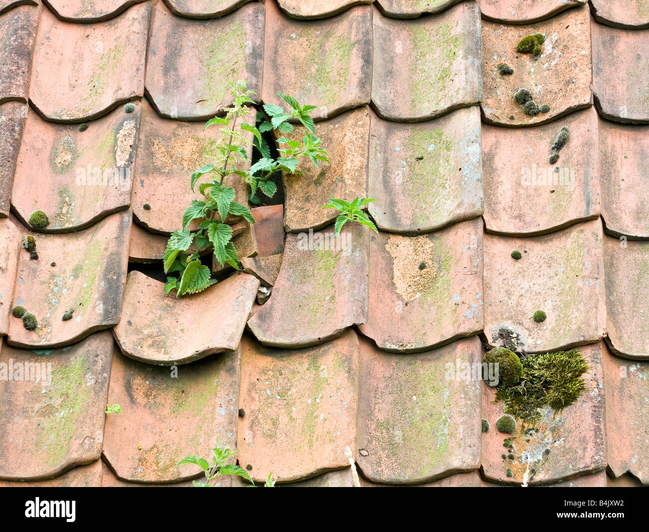 Roof pan tiles hi-res stock photography and images - Alamy