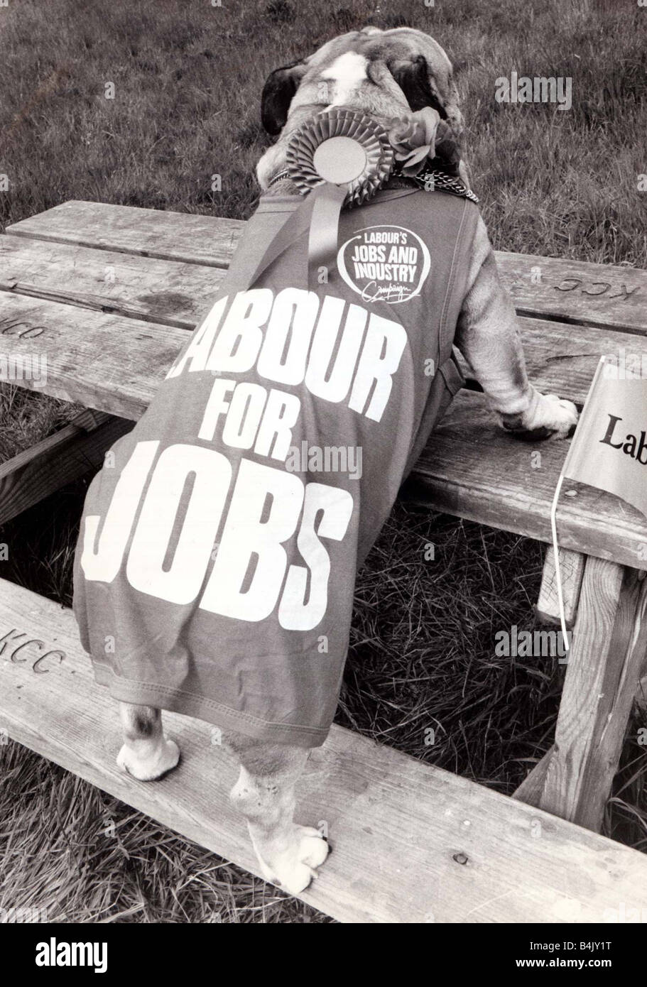 Political Campaign Posters 1987 The Labour Party T shirt dog standing ...