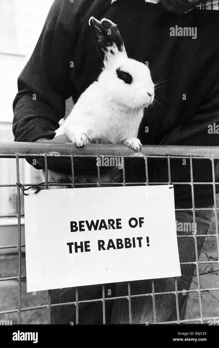 Guard dog signs hi-res stock photography and images - Alamy