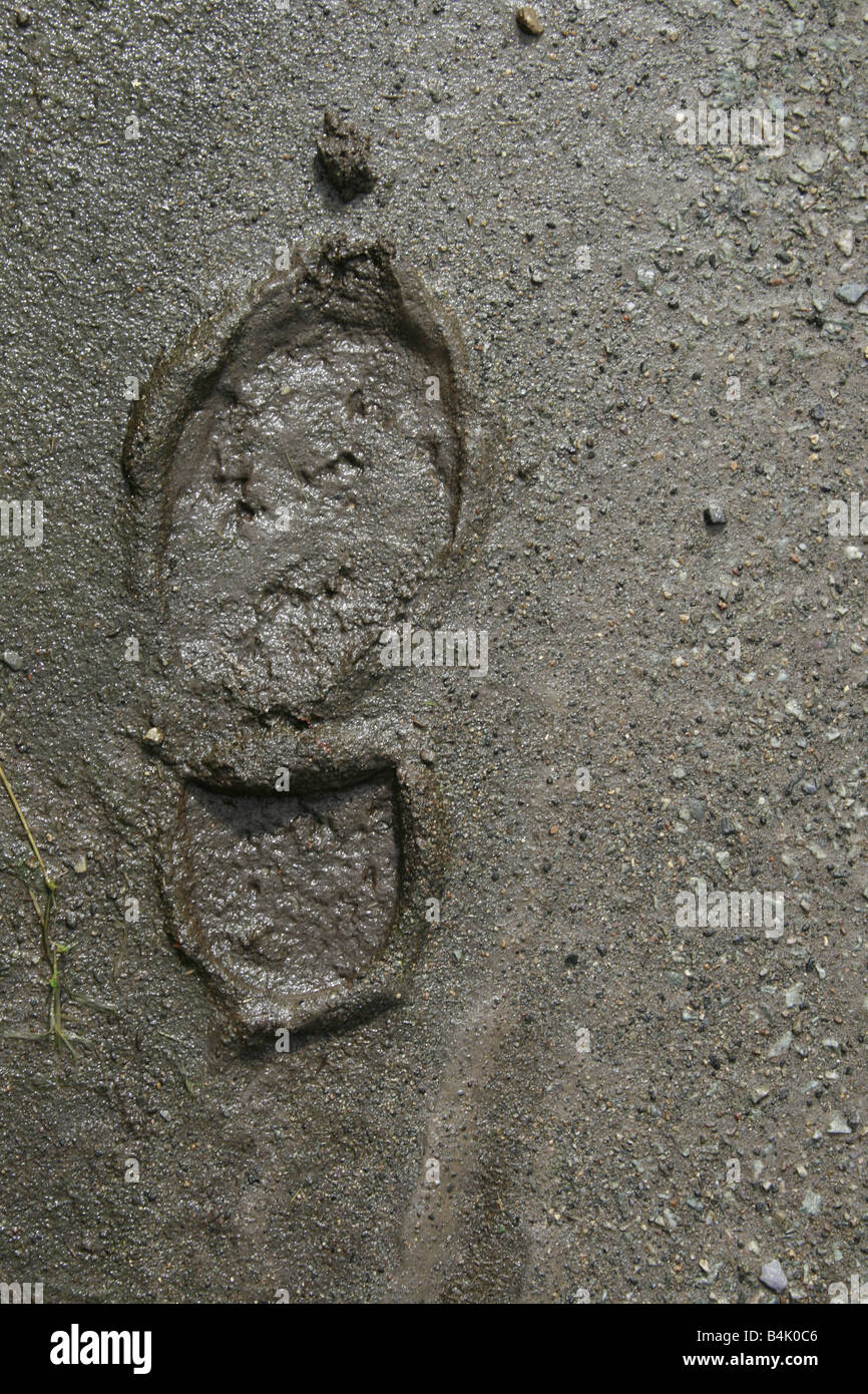 one footprint in mud on rural foot path in country Stock Photo - Alamy
