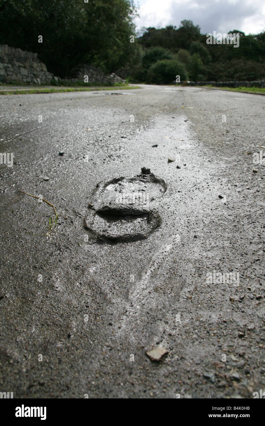 one footprint in mud on rural foot path in country Stock Photo - Alamy