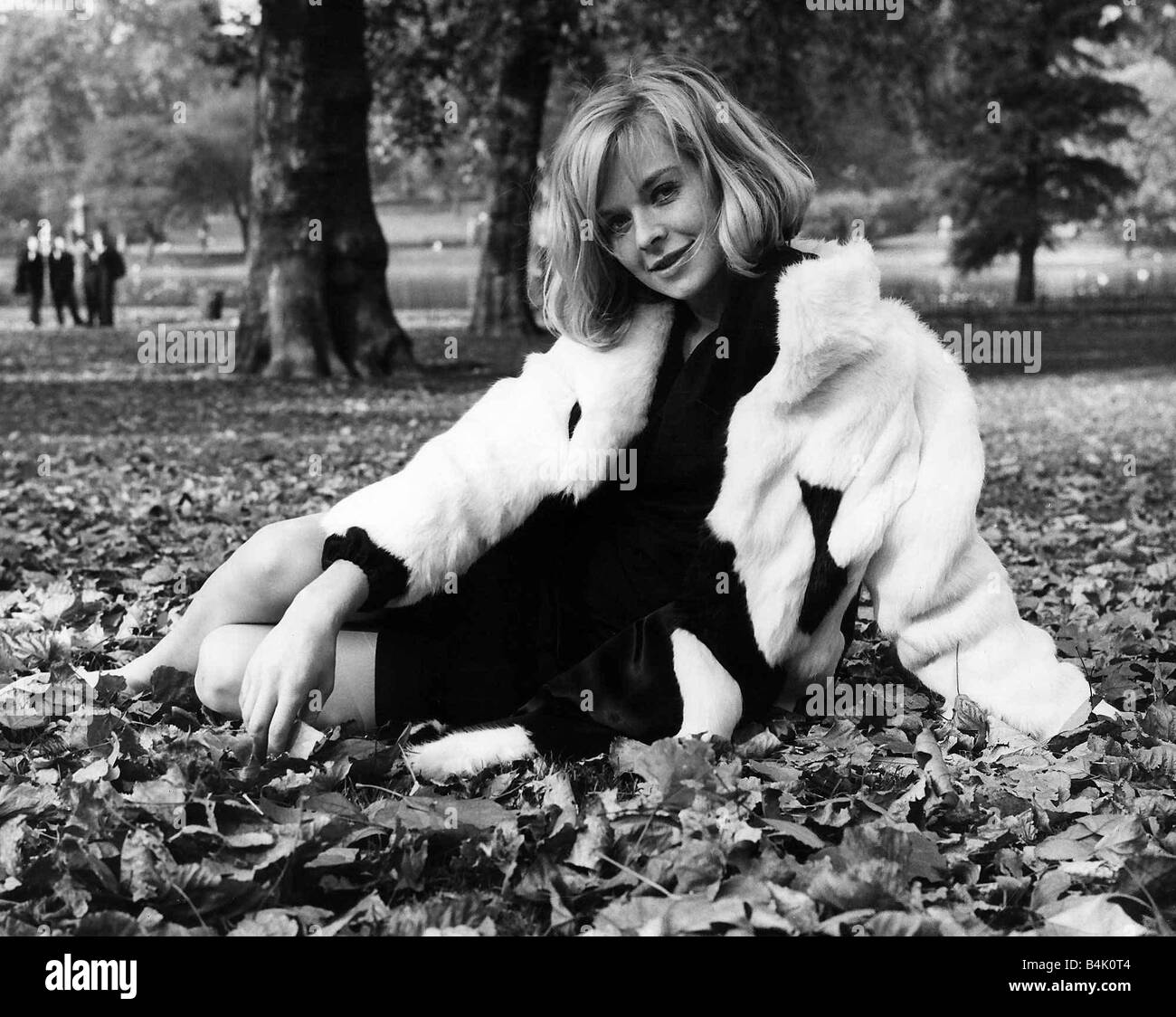 Actress Susannah York High Resolution Stock Photography And Images Alamy