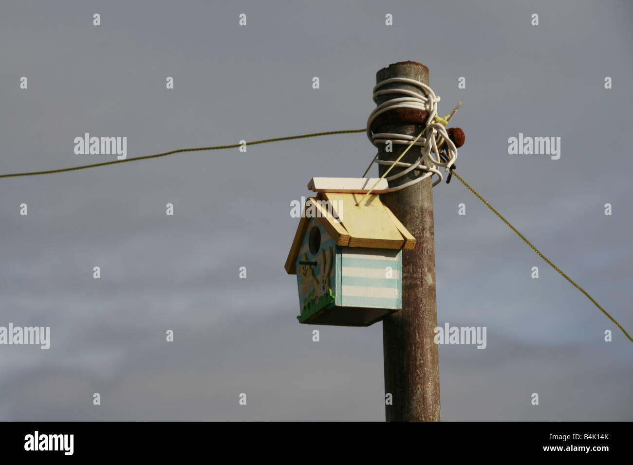 one bird house and washing line in garden Stock Photo - Alamy