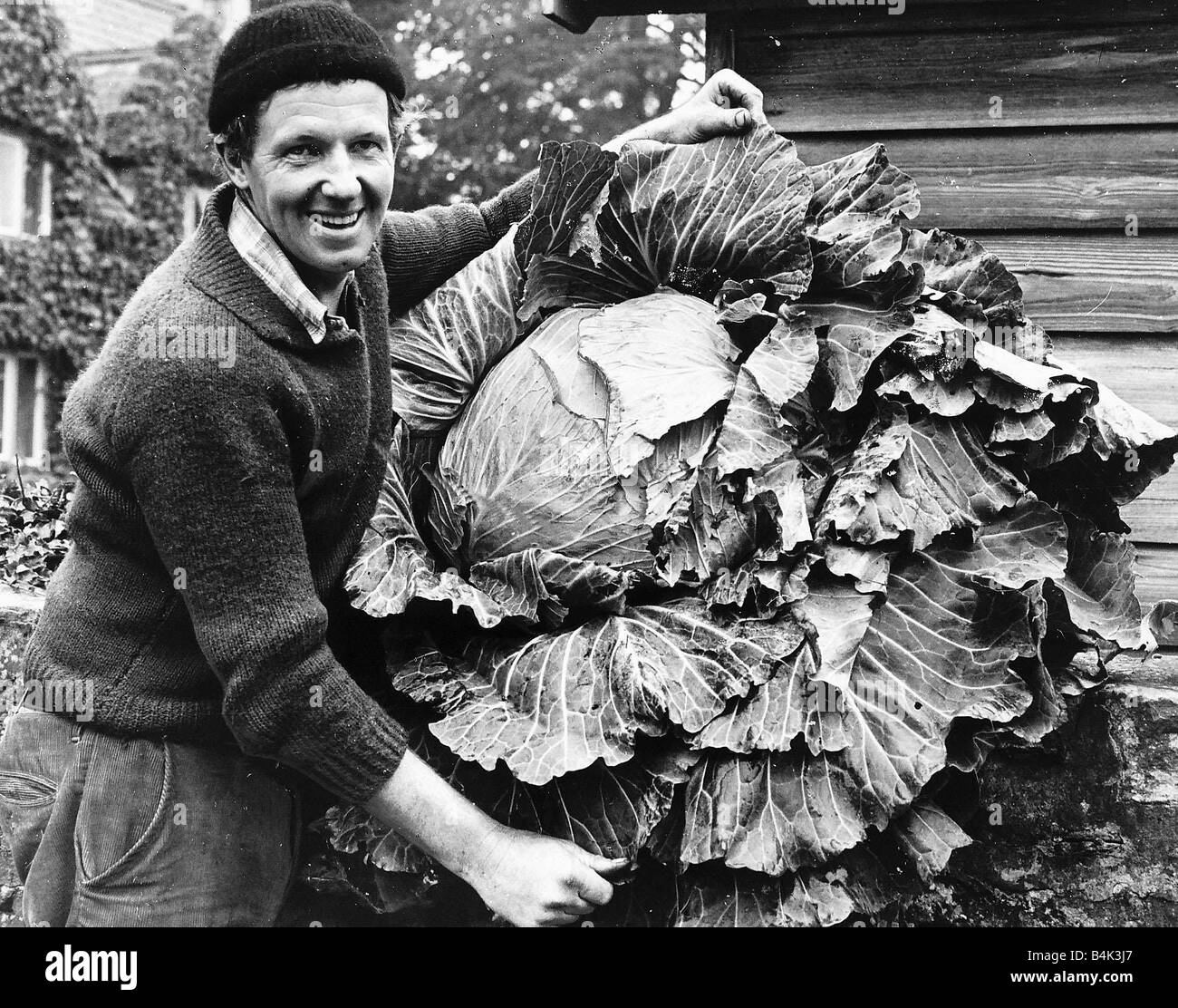 Colin Bowcock winner of the Sunday People Grow A Cabbage Contest Man ...